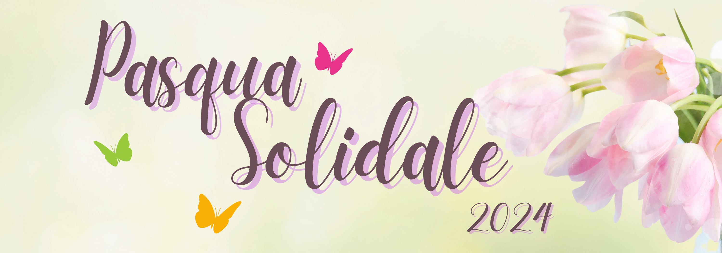 Rimettere le Ali - APS